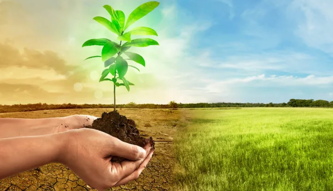 The Complexity of Environmental Interactions - A Brief Guide - Edu Hyme